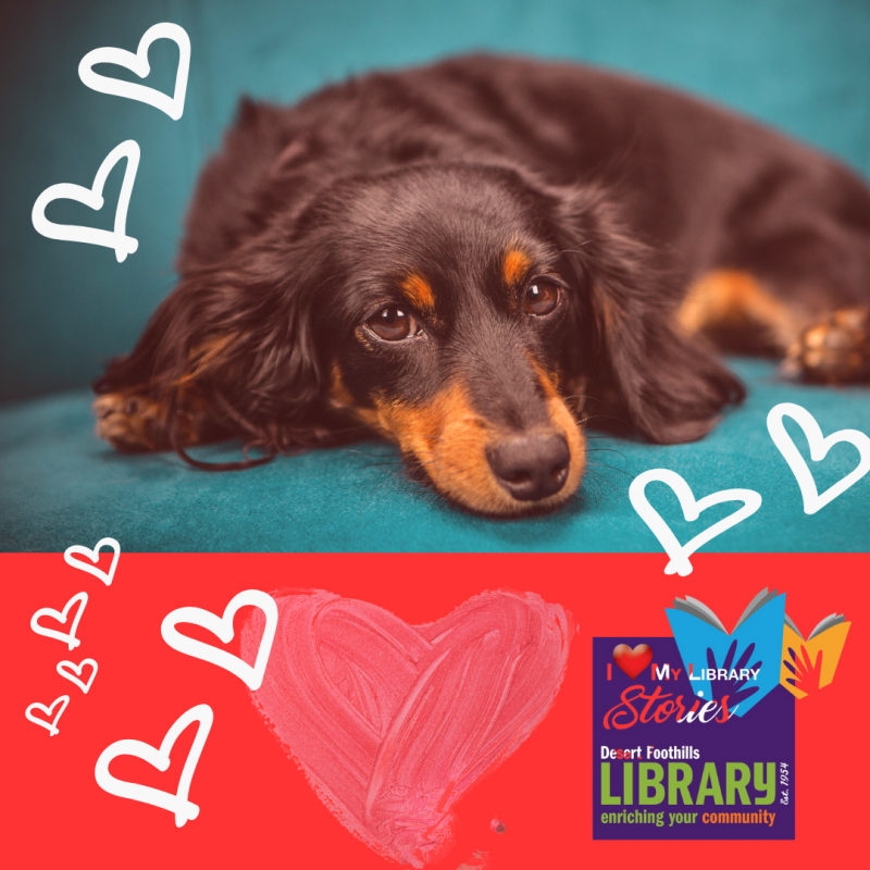 Desert Foothills Library News - Desert Foothills Library